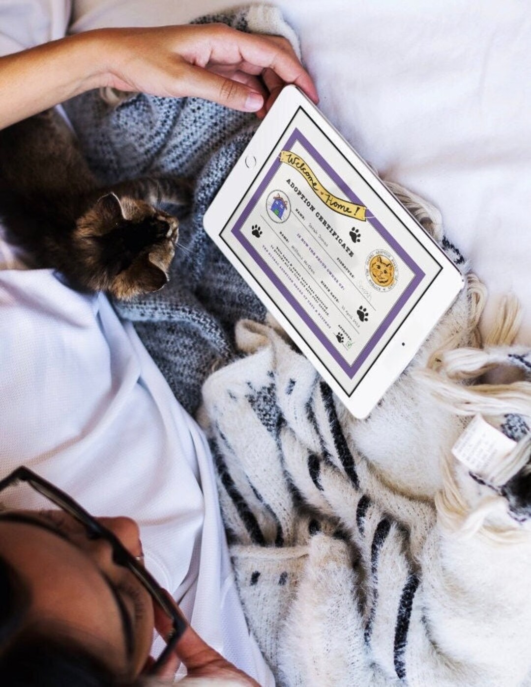 Cat Adoption Certificate | Cat Owner Certificate | for Kids & Fun Grown ...
