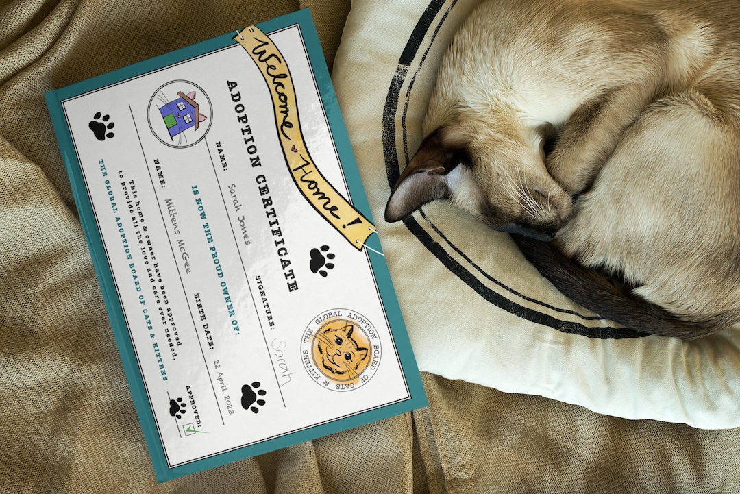 Cat Adoption Certificate | Cat Owner Certificate | for Kids & Fun Grown ...