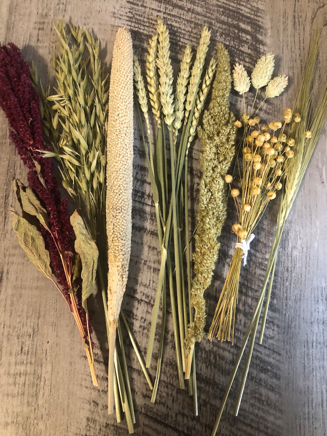 Hamster Spray Taster Bundle - Etsy