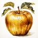 Golden Apple Clipart 12 High Quality Jpgs, Digital Paper Crafting ...