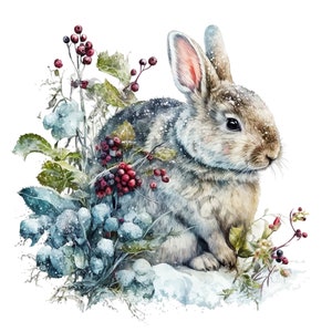 Winter Bunny Clipart - 12 High Quality Pngs, Digital Paper Crafting ...