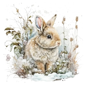 Winter Bunny Clipart - 12 High Quality Pngs, Digital Paper Crafting ...