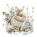 Winter Bunny Clipart - 12 High Quality Pngs, Digital Paper Crafting ...