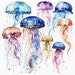 Colourful Jellyfish Clipart - 12 High Quality Jpgs, Watercolor, Digital ...