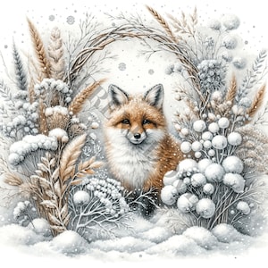 Winter Fox Clipart - 15 High Quality Pngs, Digital Download, Card ...