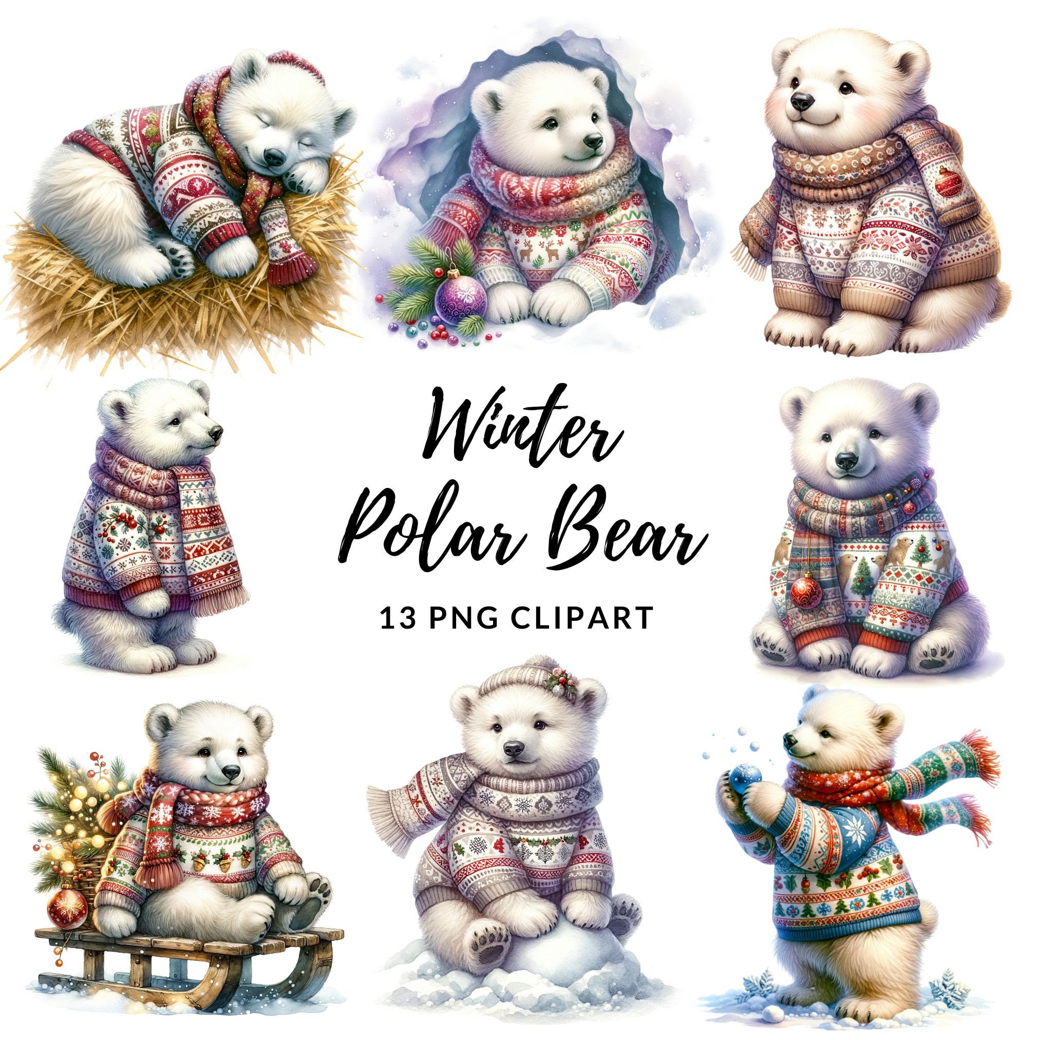 Winter Polar Bear Clipart 13 High Quality Pngs Memory Book - Etsy UK