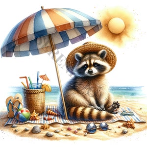 Cute Raccoon Clipart - 15 High Quality Pngs, Digital Download, Card ...