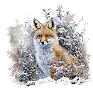 Winter Fox Clipart - 12 High Quality Pngs, Digital Paper Crafting ...