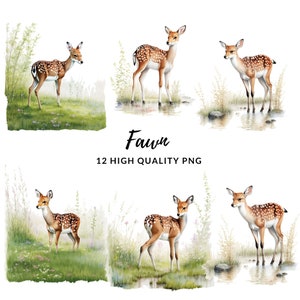 Fawn Clipart - 12 High Quality Pngs, Digital Download, Junk Journal ...