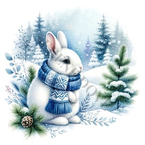 Winter Rabbit Clipart - 14 High Quality Pngs, Memory Book, Junk ...