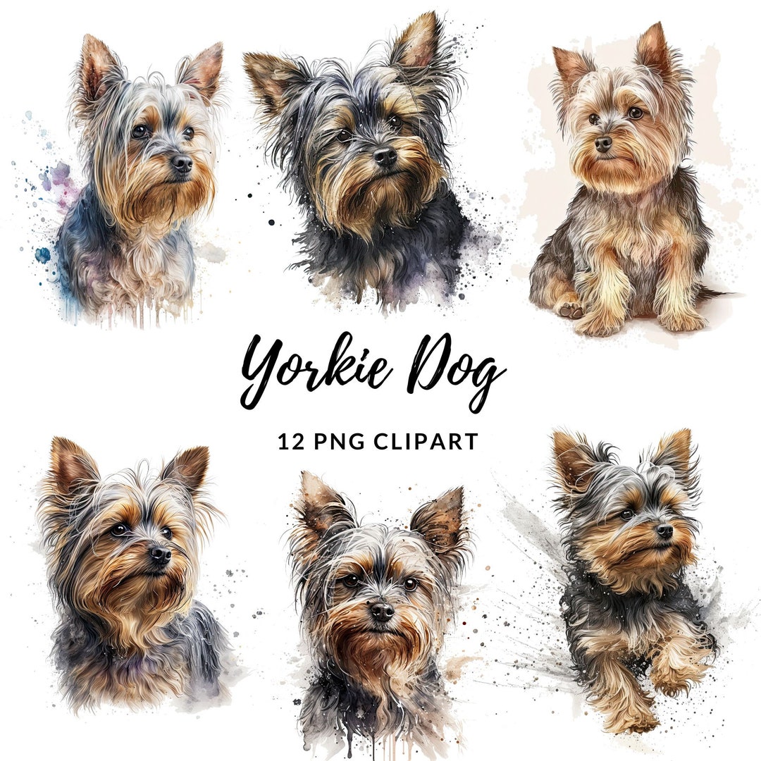 Yorkie Dog Clipart - 12 High Quality Pngs, Digital Planner, Junk ...