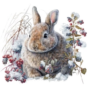 Winter Bunny Clipart - 12 High Quality Pngs, Digital Paper Crafting ...