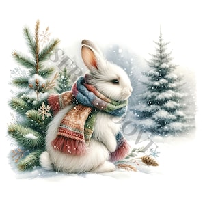 Winter Rabbit Clipart - 14 High Quality Pngs, Memory Book, Junk ...