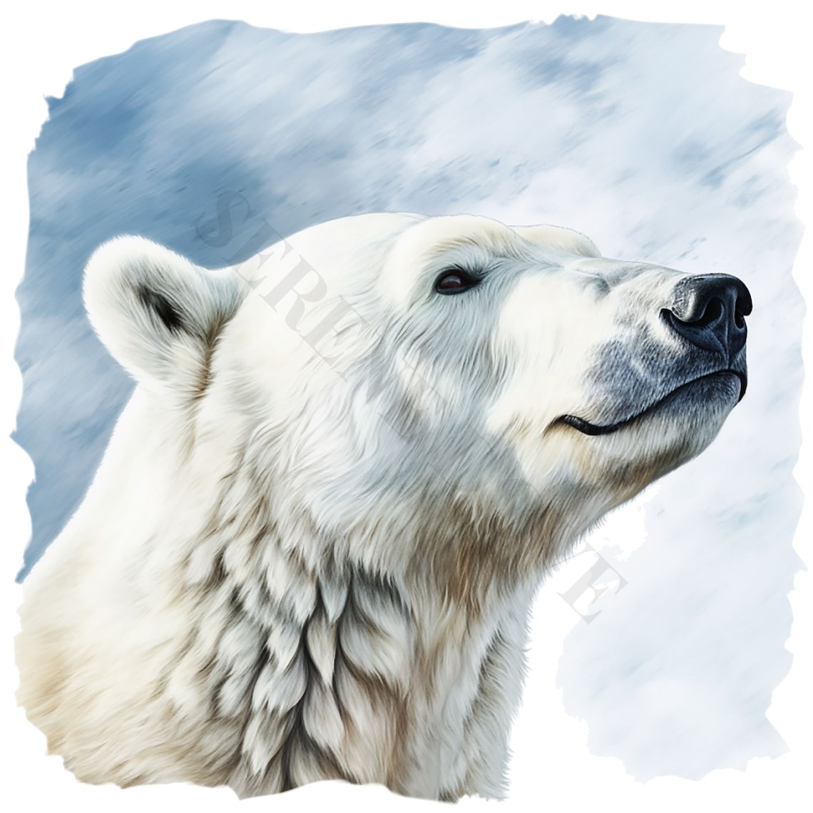 Polar Bear Clipart - 12 High Quality Pngs, Digital Download, Card ...