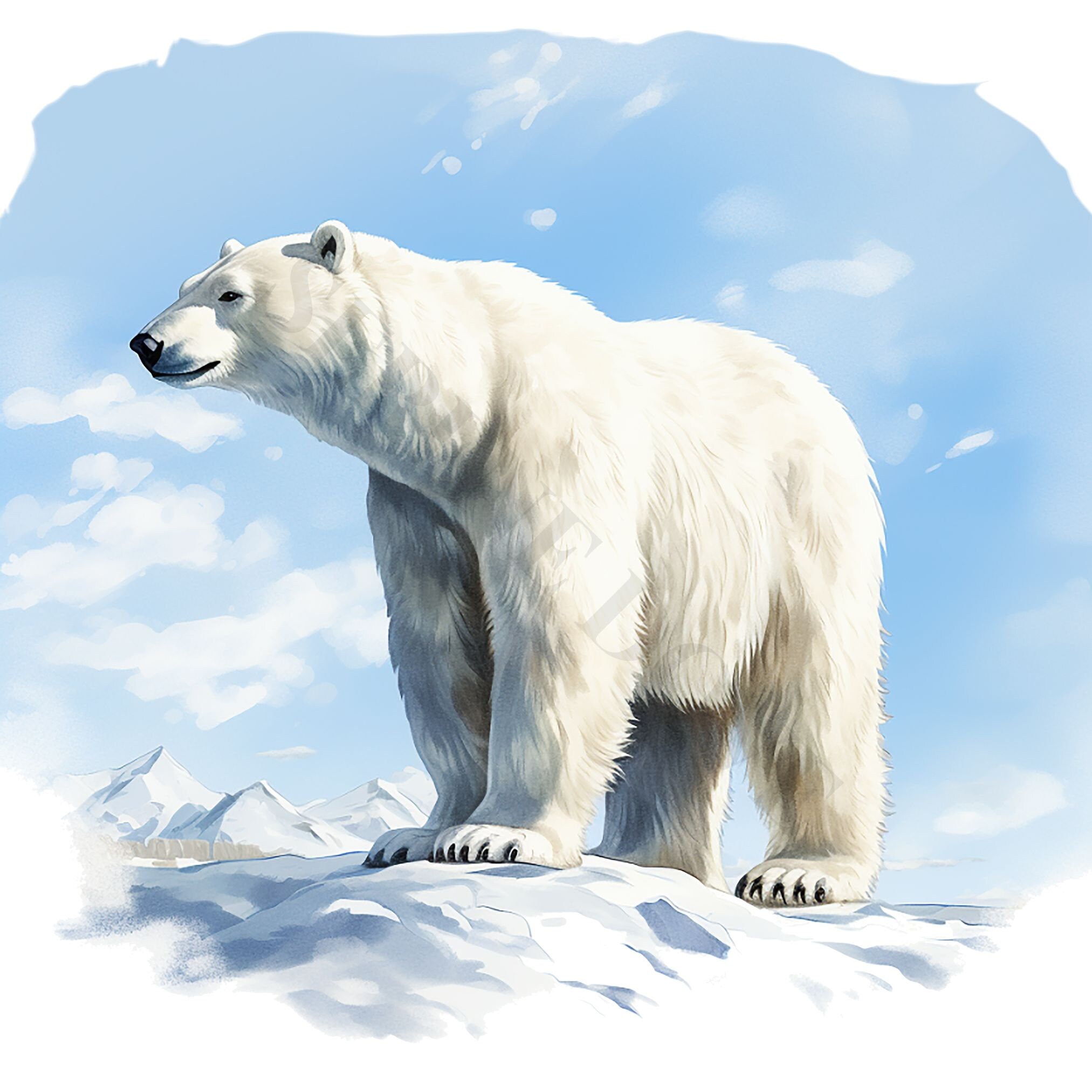 Polar Bear Clipart - 12 High Quality Pngs, Digital Download, Card ...