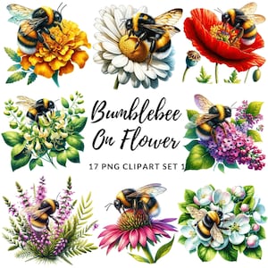 Bumblebee on Flower Clipart - 17 High Quality Pngs, Memory Book, Junk ...