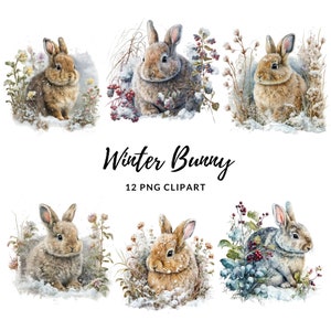 Winter Bunny Clipart - 12 High Quality Pngs, Digital Paper Crafting ...