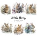 Winter Bunny Clipart - 12 High Quality Pngs, Digital Paper Crafting ...