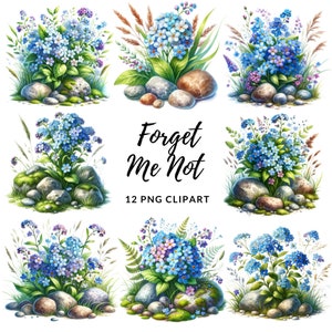 Forget Me Not Clipart - 12 High Quality Pngs, Memory Book, Junk ...