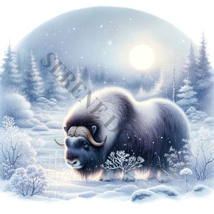 Winter Musk Oxen Clipart - 12 High Quality Pngs, Digital Download, Card ...