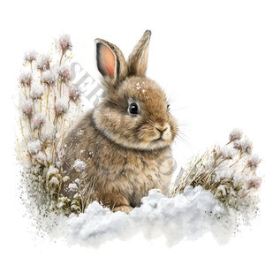 Winter Bunny Clipart - 12 High Quality Pngs, Digital Paper Crafting ...