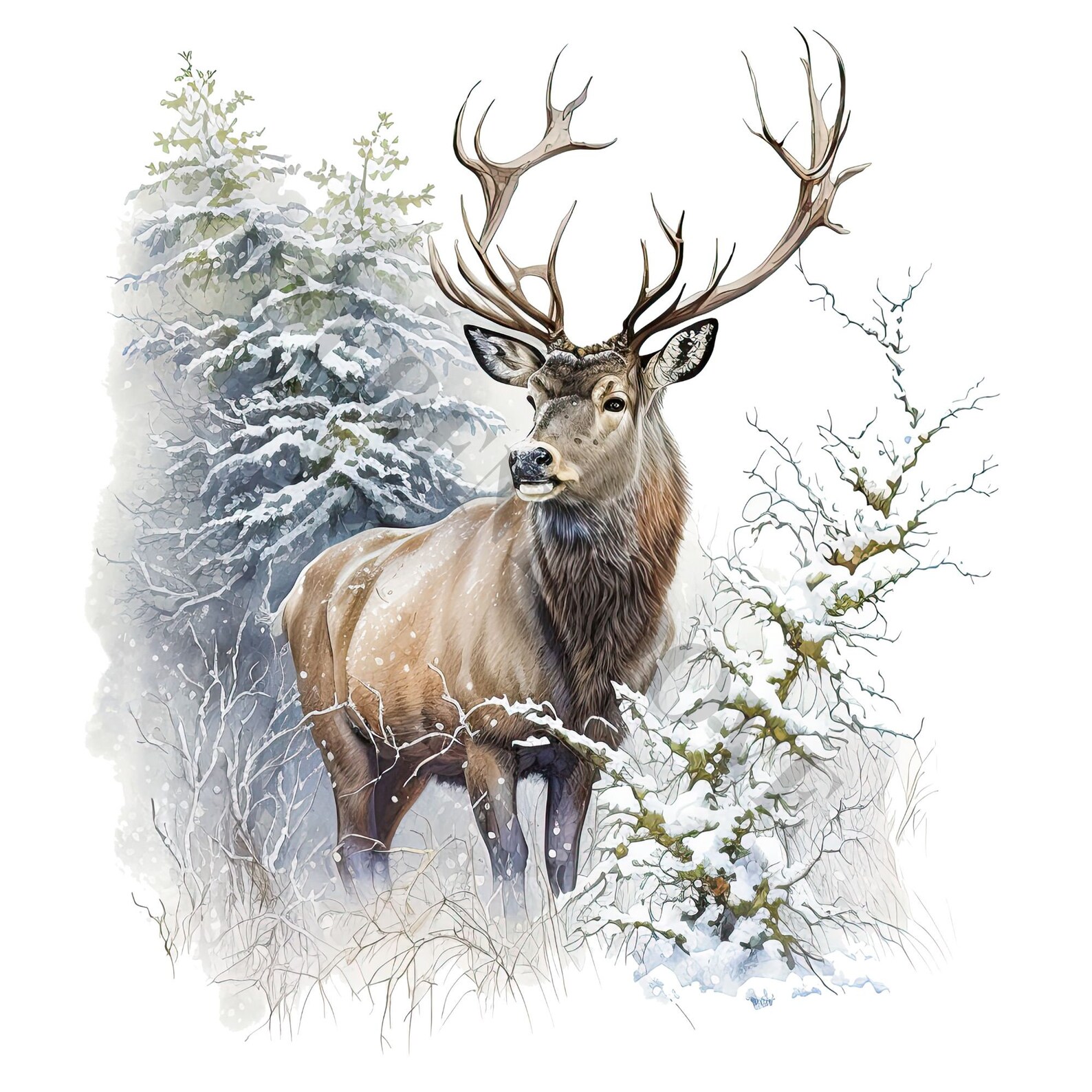Winter Stag Clipart - 12 High Quality Pngs, Digital Paper Crafting ...