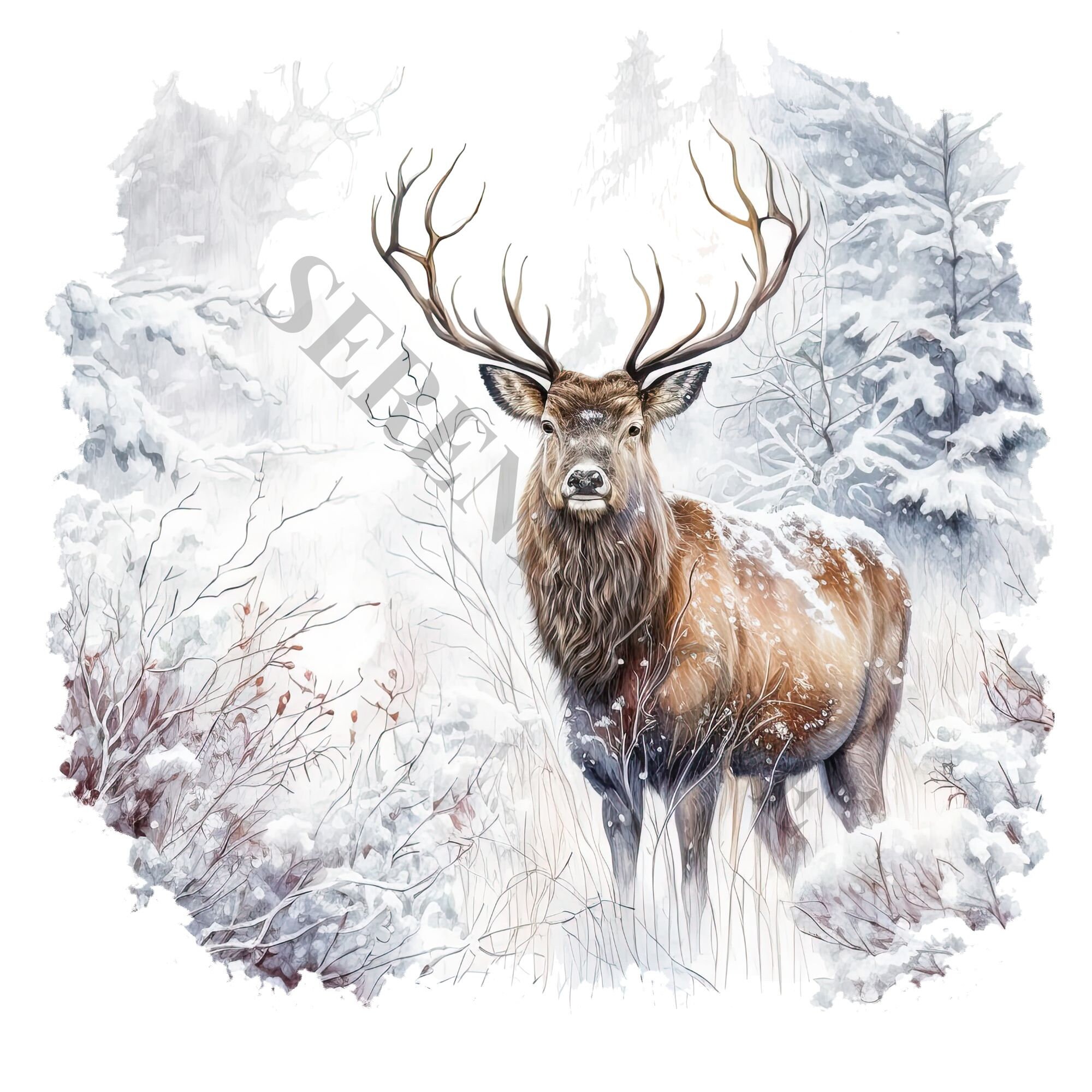 Winter Stag Clipart - 12 High Quality Pngs, Digital Paper Crafting ...