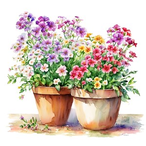 Potted Summer Flowers Clipart - 12 High Quality Pngs, Memory Book, Junk ...