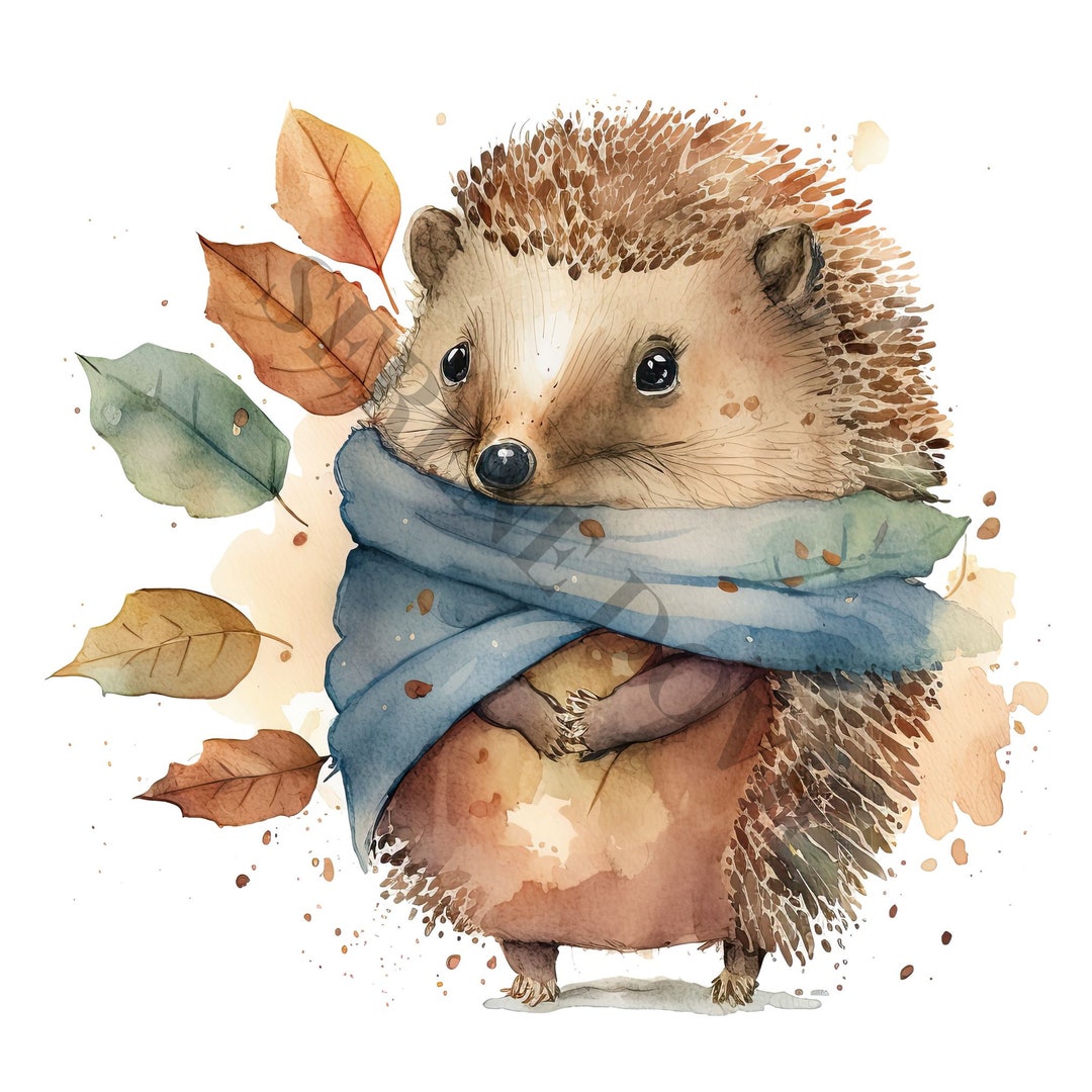 Winter Hedgehog Clipart - 12 High Quality Pngs, Digital Planner, Junk ...