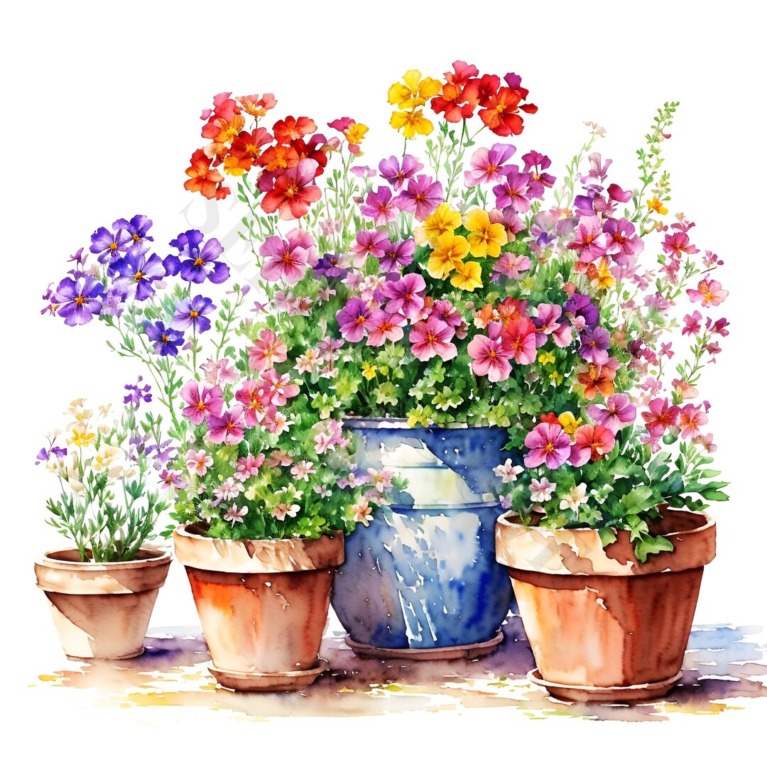 Potted Summer Flowers Clipart - 12 High Quality Pngs, Memory Book, Junk ...