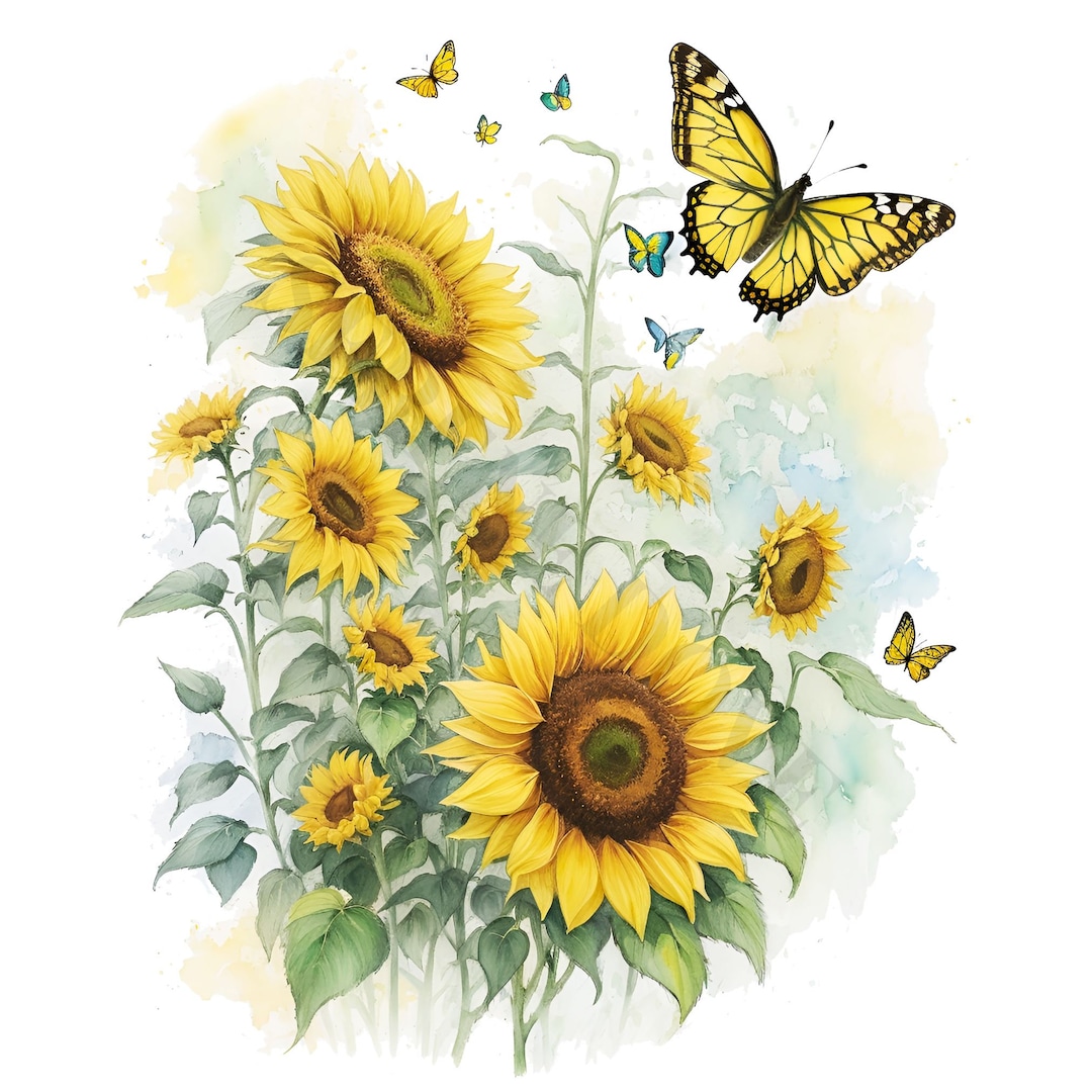 Sunflowers Clipart - Fall Sunflower Floral Bouquets in Watercolor PNG ...