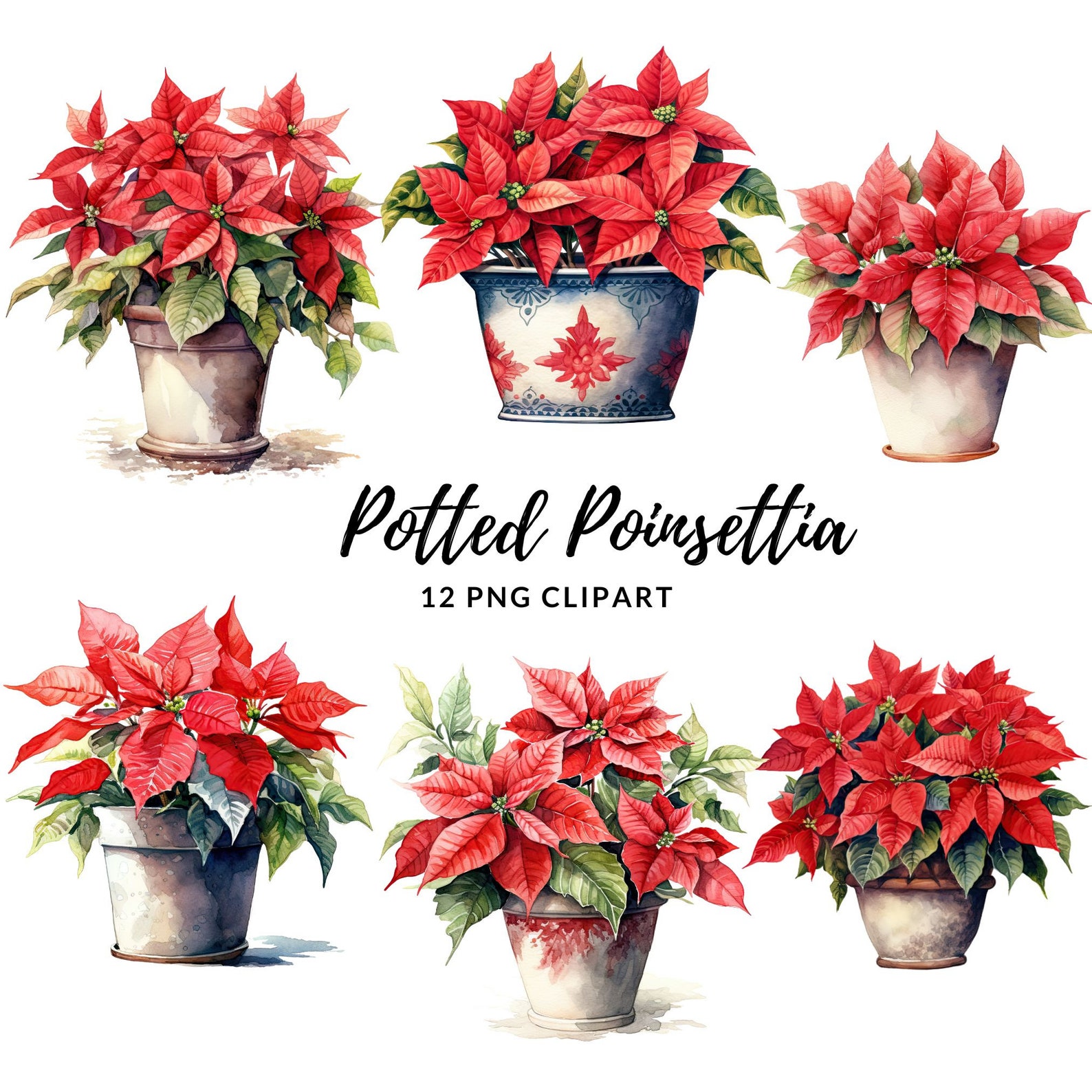 Potted Poinsettia Clipart - 12 High Quality PNG, Digital Paper Crafting ...