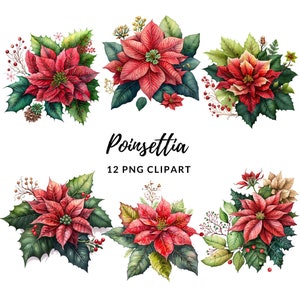 Poinsettia Clipart - 12 High Quality Pngs, Digital Paper Crafting ...