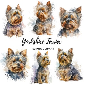 Yorkshire Terrier Clipart - 12 High Quality Pngs, Memory Book, Junk ...
