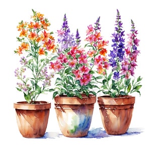 Potted Summer Flowers Clipart - 12 High Quality Pngs, Memory Book, Junk ...