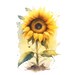Sunflowers Clipart Fall Sunflower Floral Bouquets in Watercolor PNG ...
