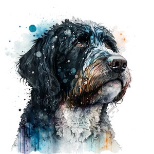 Barbet Dog Clipart - 12 High Quality Pngs, Watercolor, Digital Planner ...