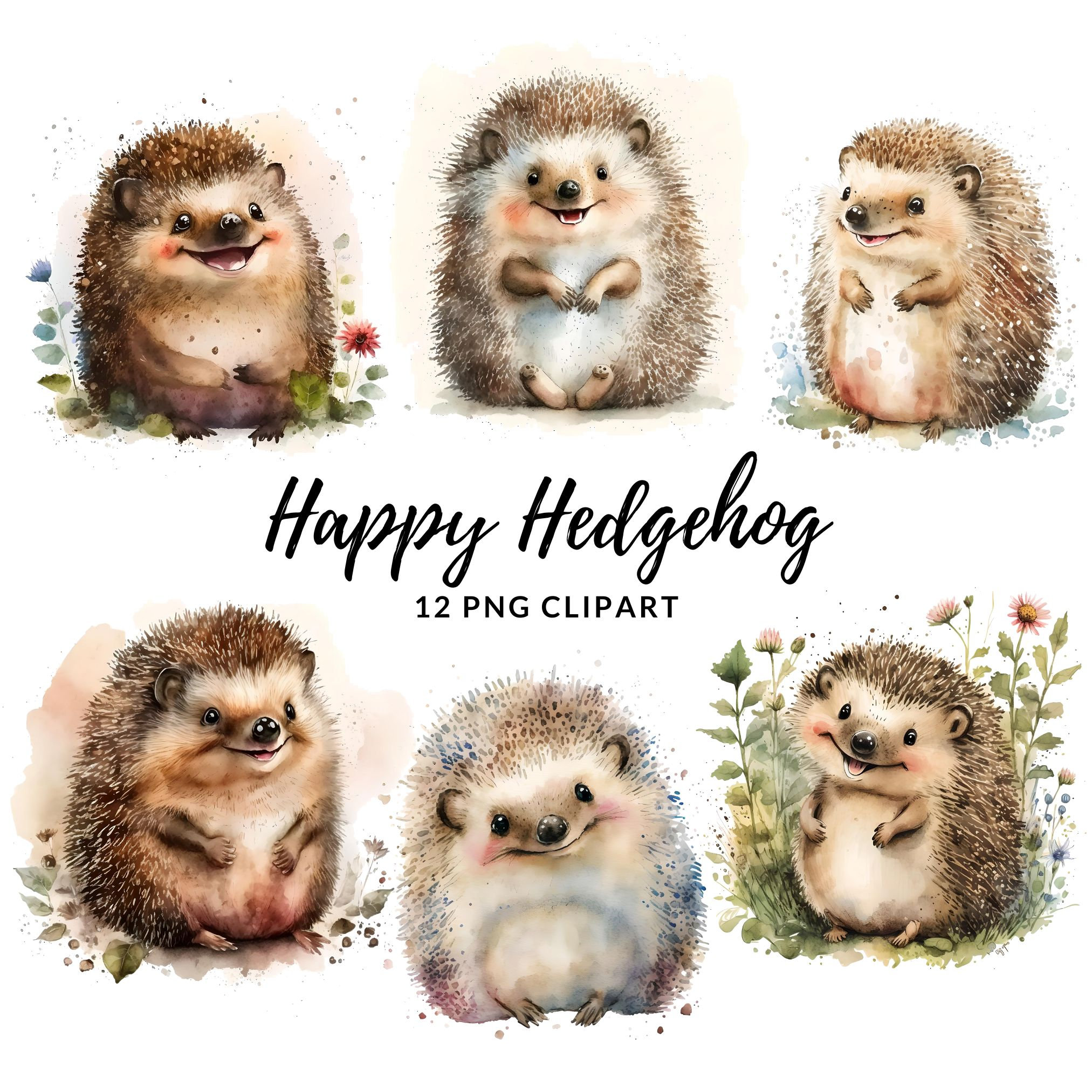 Happy Hedgehog Clipart - 12 High Quality Watercolor Pngs, Digital ...