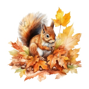 Autumn Squirrel Clipart - 12 High Quality Pngs, Digital Planner, Junk ...