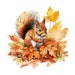 Autumn Squirrel Clipart 12 High Quality Pngs Digital - Etsy