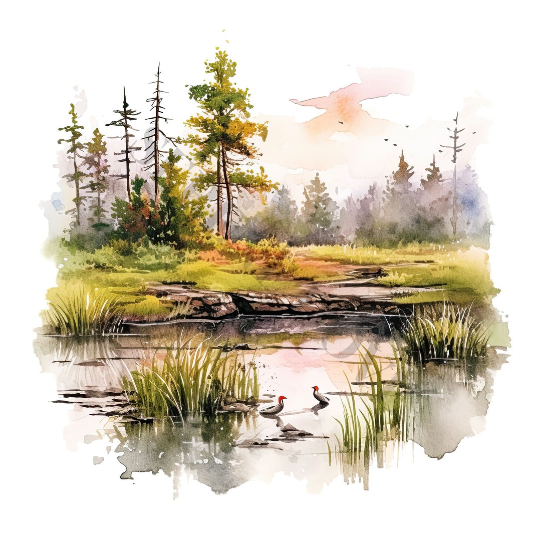 Bog Landscape Clipart - 14 High Quality Pngs, Digital Paper Crafting ...