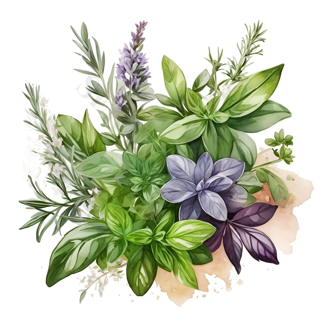 Herbs Bouquet Clipart - 12 High Quality Pngs, Memory Book, Junk ...