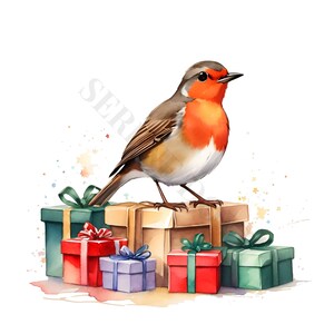 Robins and Gifts Clipart - 12 High Quality Pngs, Digital Planner, Junk ...