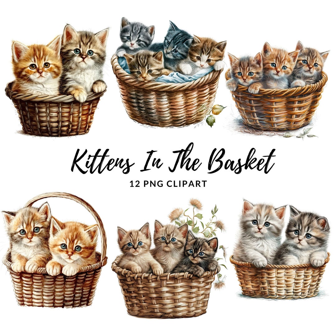 Kittens in the Basket Clipart 12 High Quality Pngs Digital - Etsy