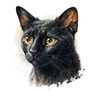 Bombay Cat Clipart - 12 High Quality Pngs, Digital Paper Crafting ...