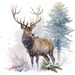 Winter Stag Clipart - 12 High Quality Pngs, Digital Paper Crafting ...
