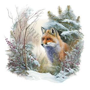 Winter Fox Clipart - 12 High Quality Pngs, Digital Paper Crafting ...