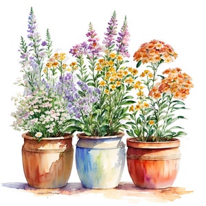 Potted Summer Flowers Clipart - 12 High Quality Pngs, Memory Book, Junk ...