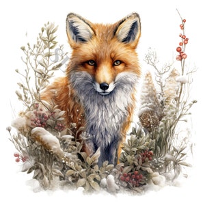 Winter Fox Clipart - 12 High Quality Pngs, Digital Paper Crafting ...