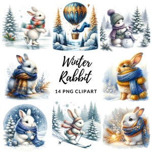 Winter Rabbit Clipart - 14 High Quality Pngs, Memory Book, Junk ...